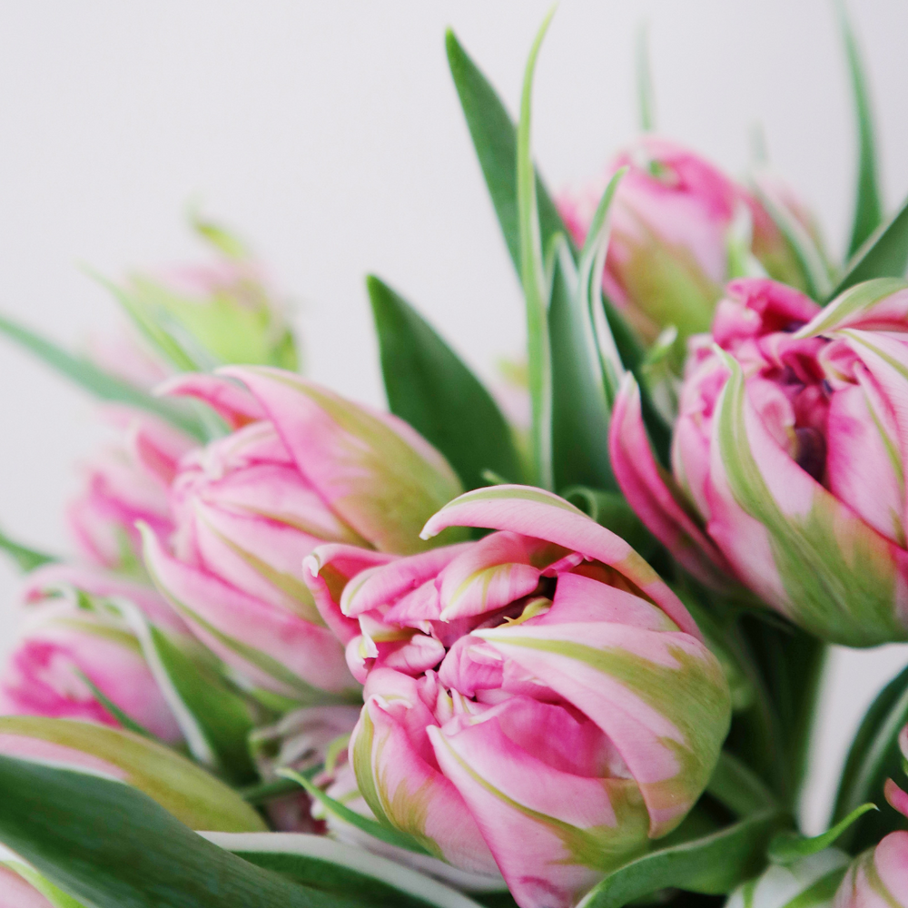 Boutique Posies & Flower Delivery in Perth | Little Posy Co Flowers