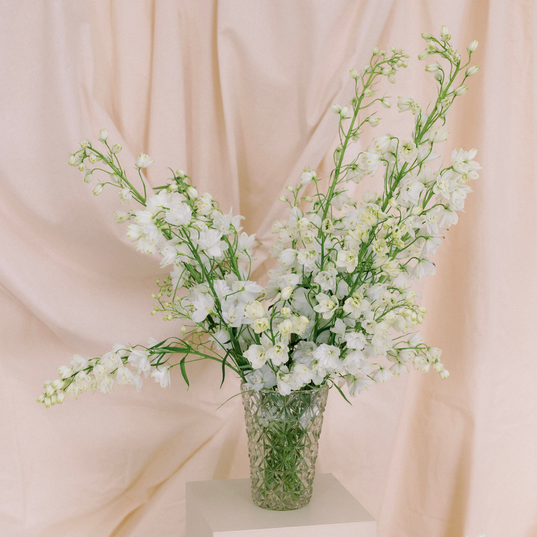 Wedding & Event Flowers | Perth Florist | Next-Day Delivery