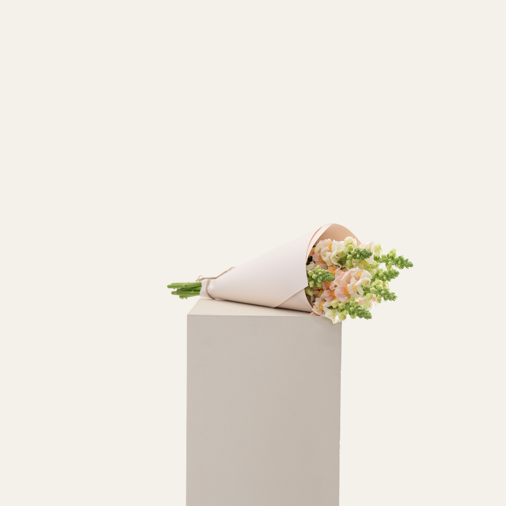 Boutique Posies & Flower Delivery in Perth | Little Posy Co Flowers