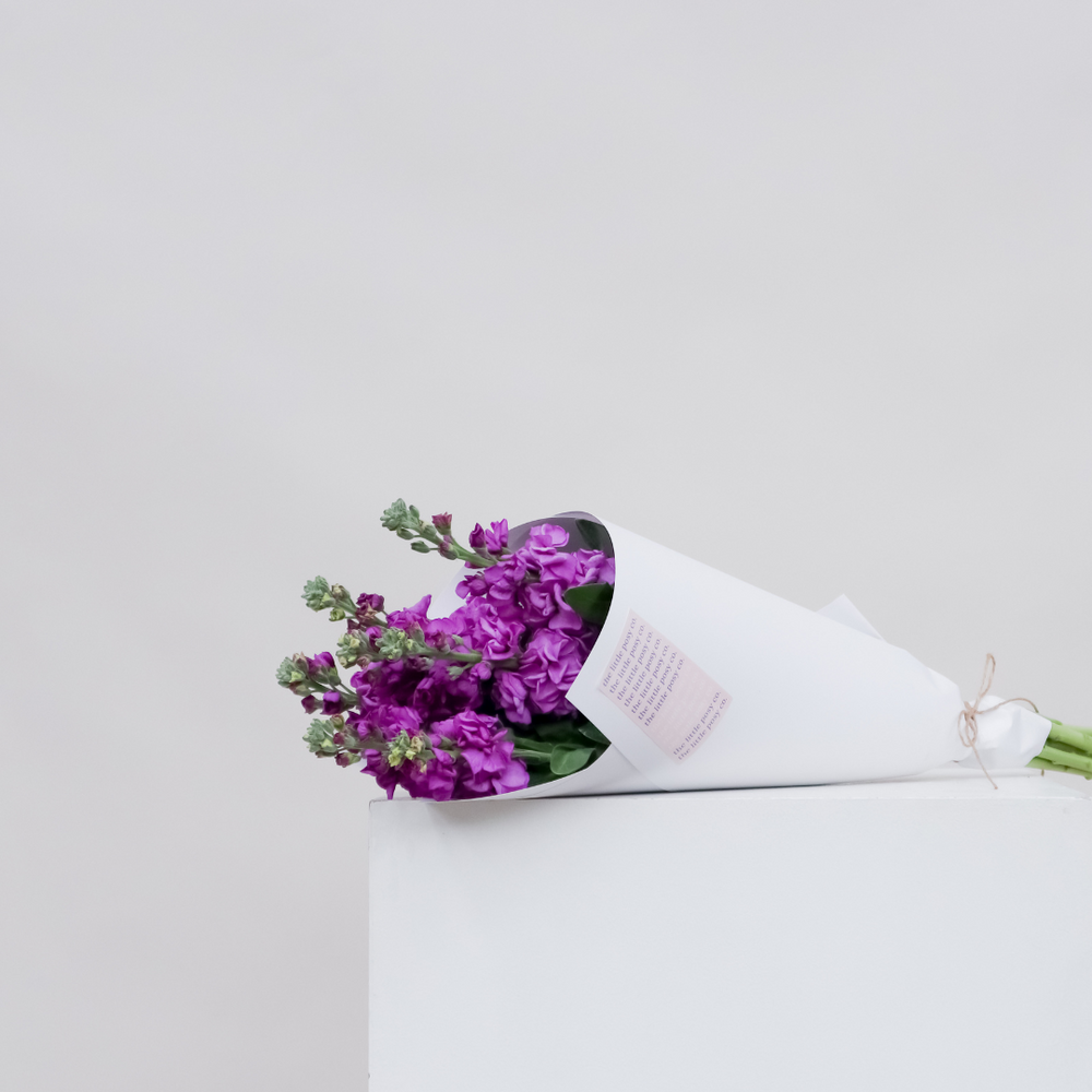 Flower Delivery Perth, Same Day Delivery Gifts & Flowers | Little Posy